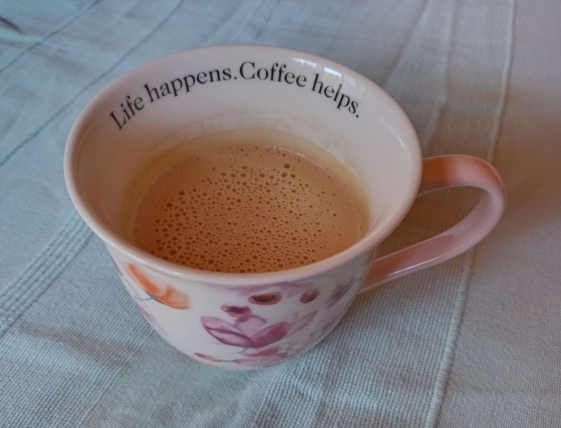 Pancir kafa, ili kafa otporna na metke (moje iskustvo) – Crvenkapina kujna